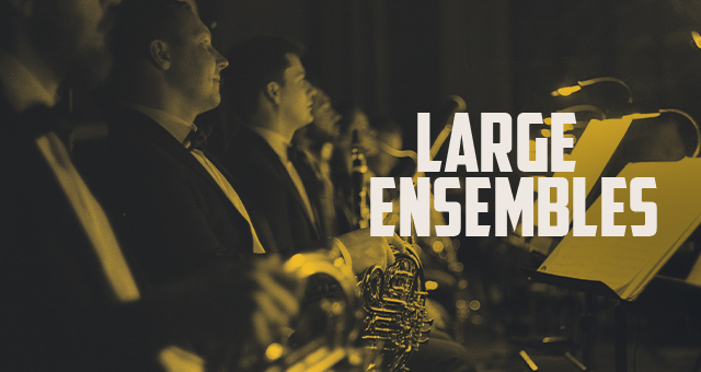 Large Ensembles
