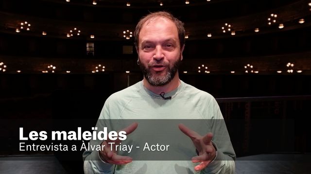 Teatre Principal - El teatro